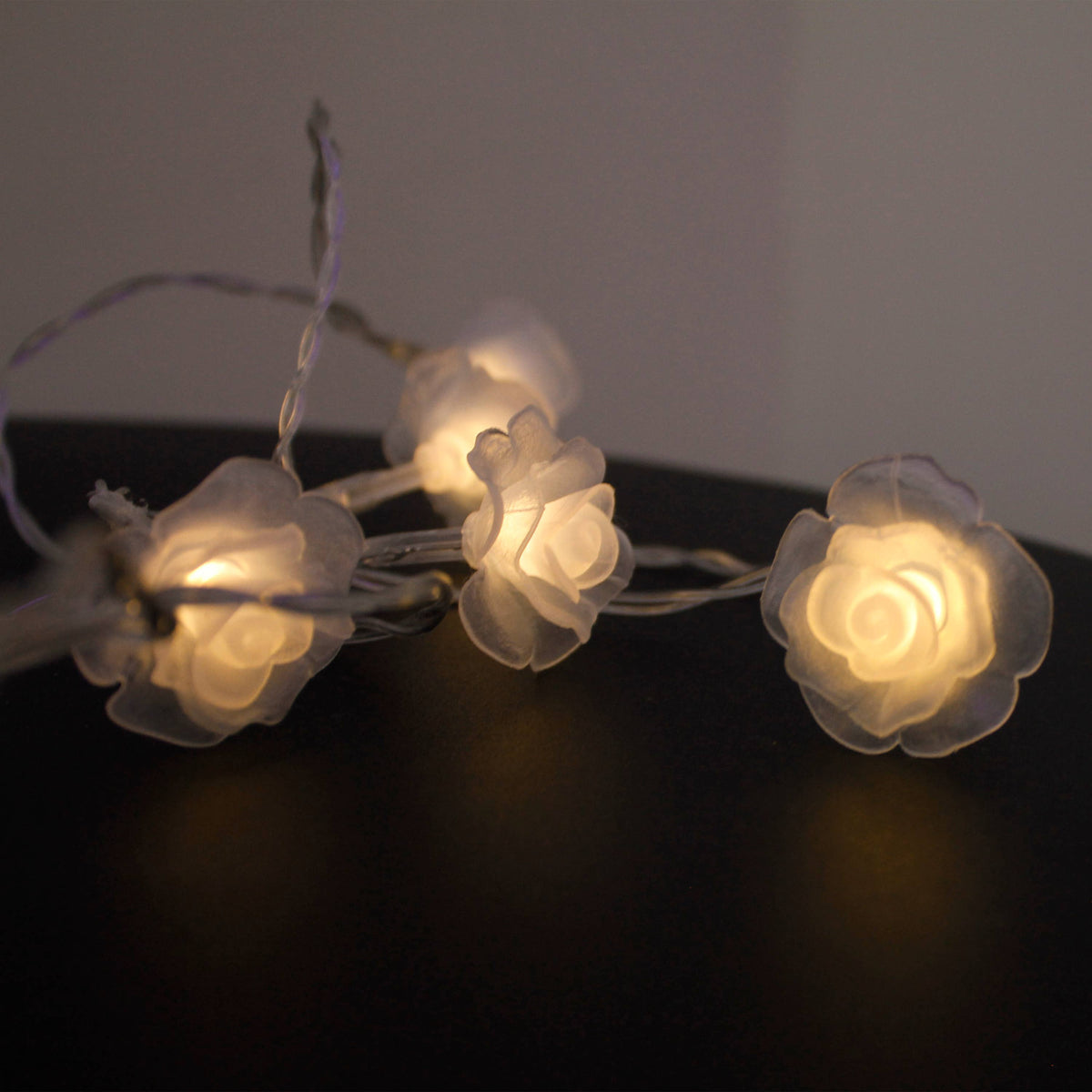 20 LED Lights Battery Operated with PVC Clear Rose - Warm White ...